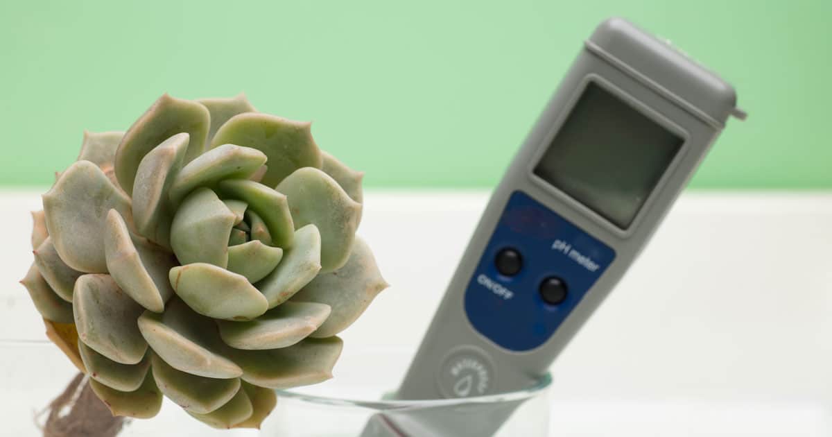 ออกซิเดชัน (Oxidation) คืออะไร? ทำความเข้าใจพื้นฐาน