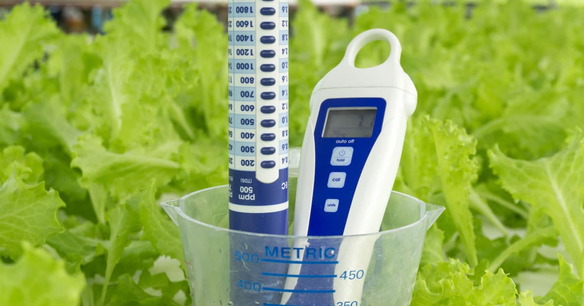 EC Meter คืออะไร? คู่มือที่สมบูรณ์สิ่งที่คุณต้องรู้